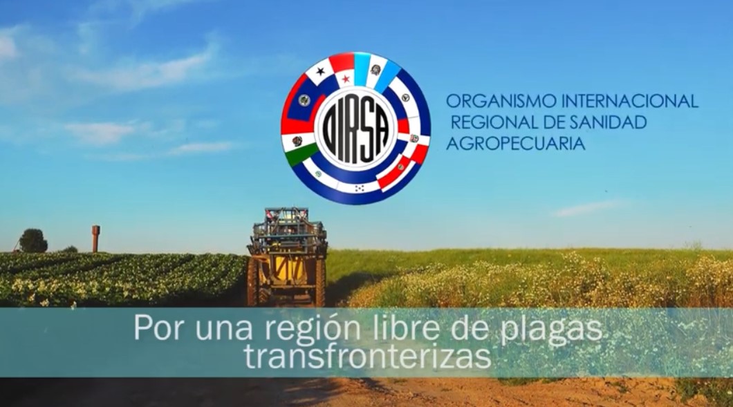 Video 66 años de OIRSA – Kreativa